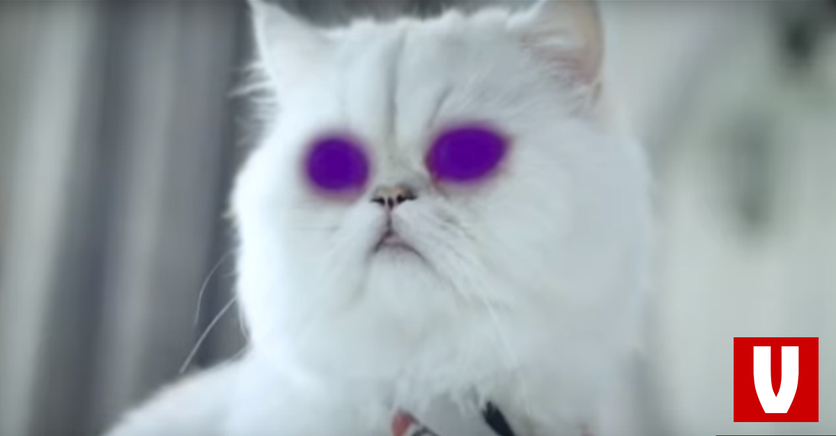 Los siete videos urbanos que marcan tendencia esta semana